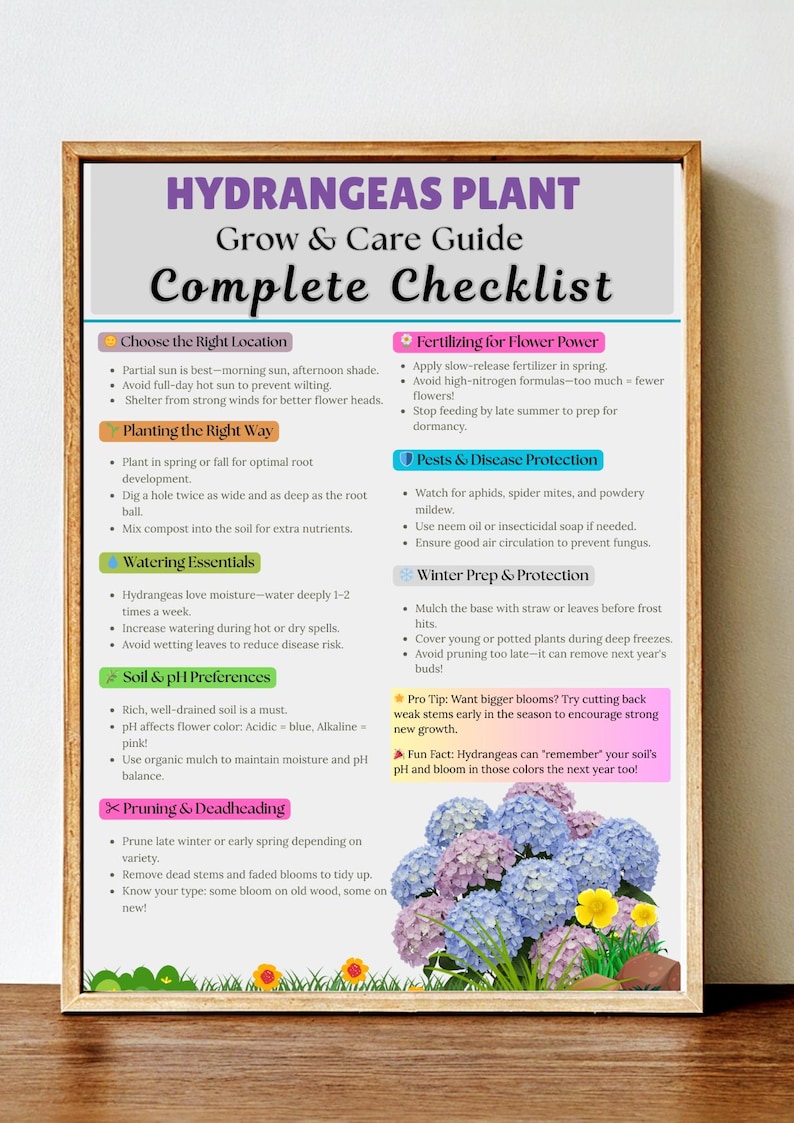 Hydrangeas Plant Care Guide – How to Grow and Care for Hydrangeas ...