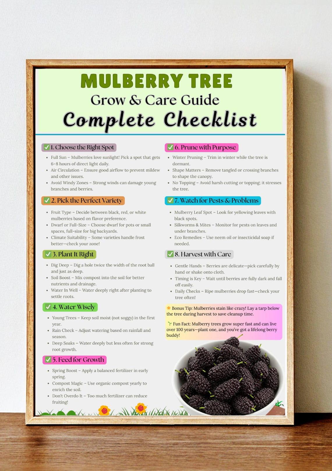 Mulberry Tree Care Guide – How to Grow and Care for Mulberry Trees ...