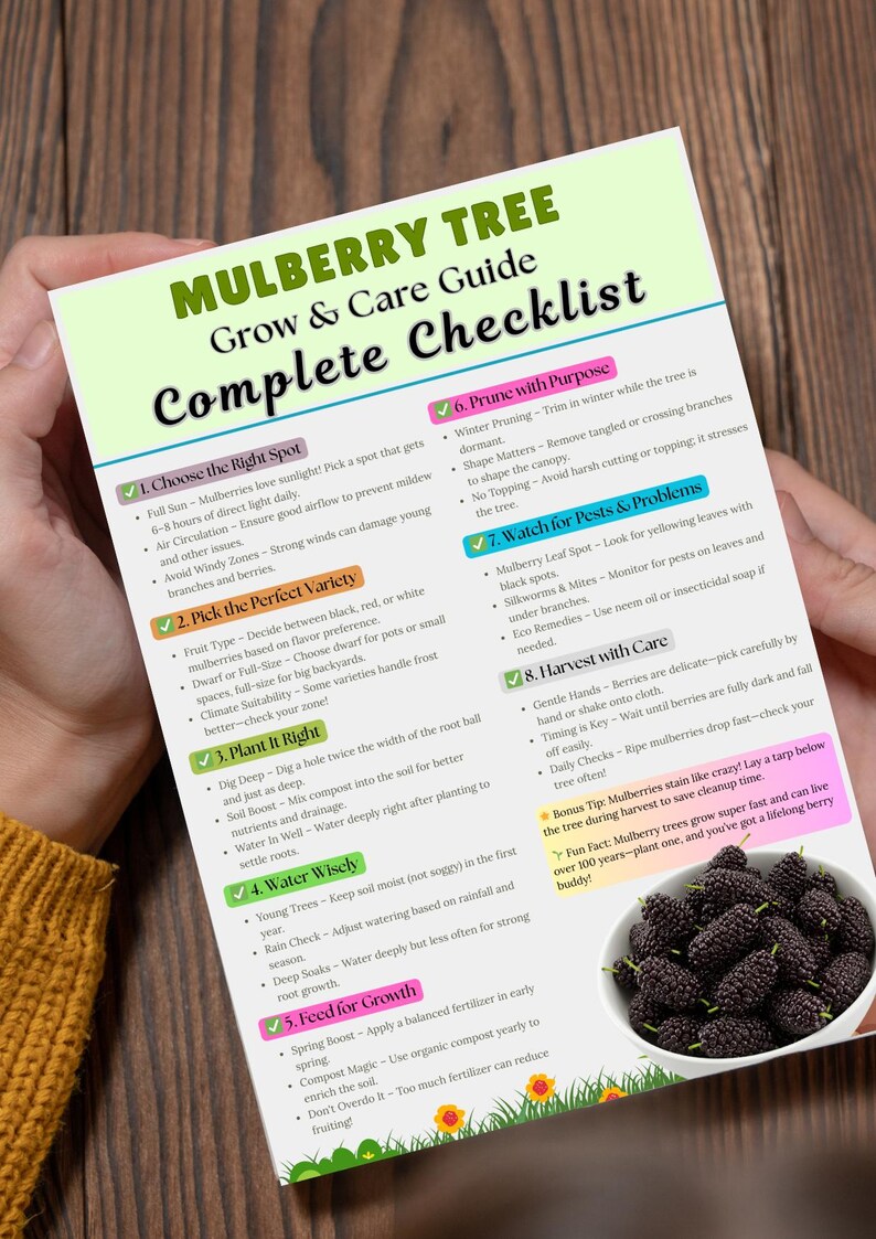 Mulberry Tree Care Guide – How to Grow and Care for Mulberry Trees ...