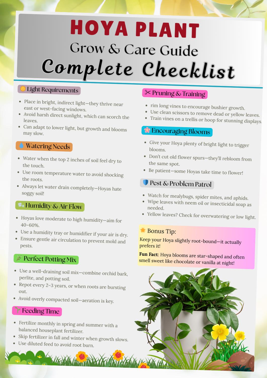 Why My Hoya Isn’t Flowering - A Clear, No-confusion Printable Guide to ...