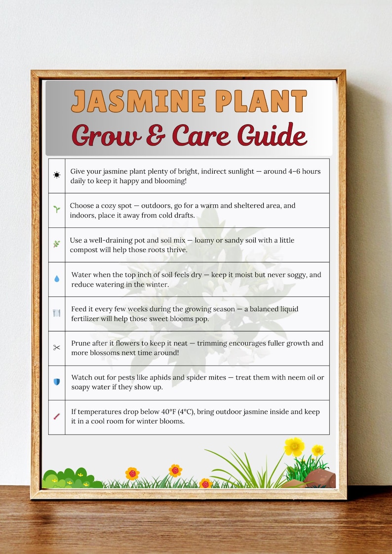 The Hidden Growing Rule That Makes Jasmine Bloom Like Crazy Jasmine ...