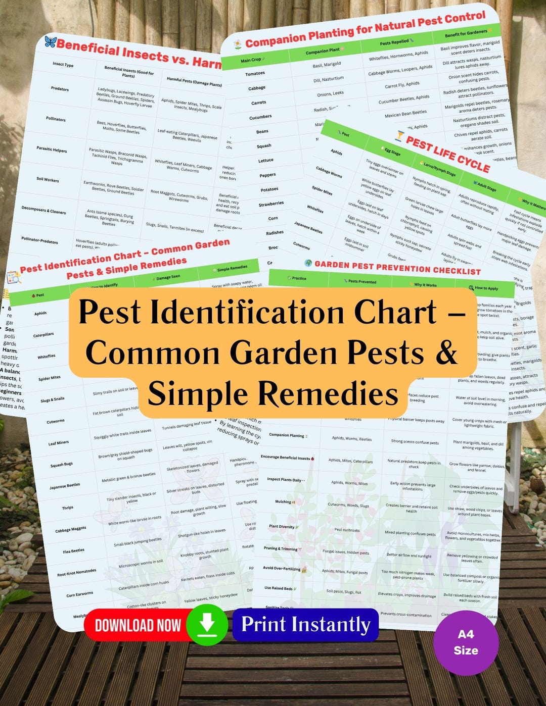 Pest Identification Chart | Garden Pest Control Guide | Printable A4 ...