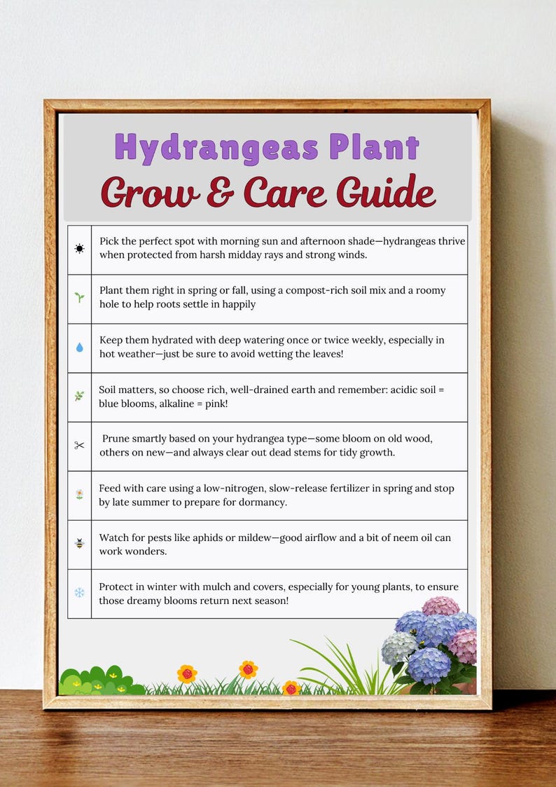 Hydrangeas Plant Care Guide – How to Grow and Care for Hydrangeas ...