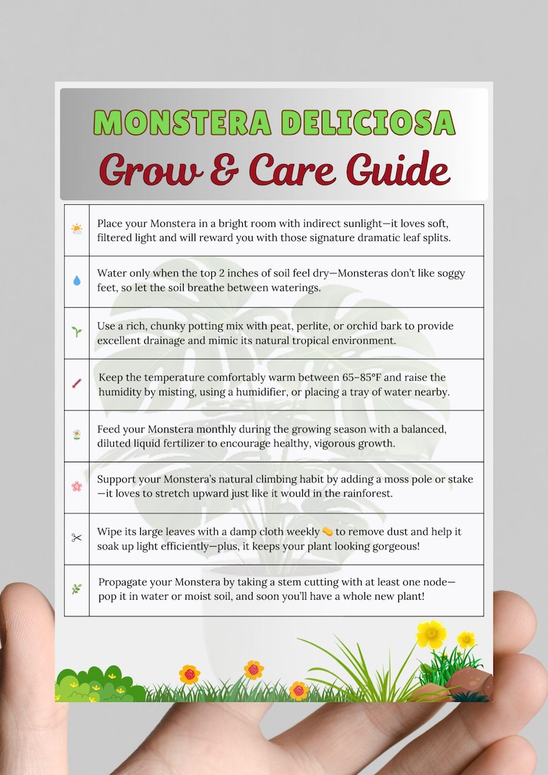 The One Monstera Care Rule That Decides Whether Your Plant Lives or ...