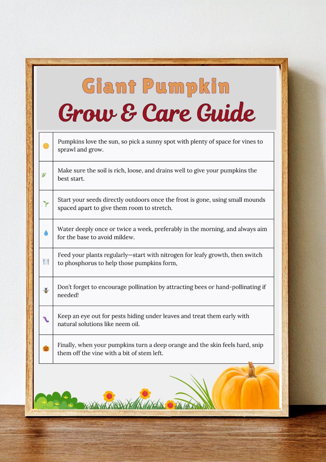 Giant Pumpkin Care Guide – How to Grow and Care for Giant Pumpkin ...