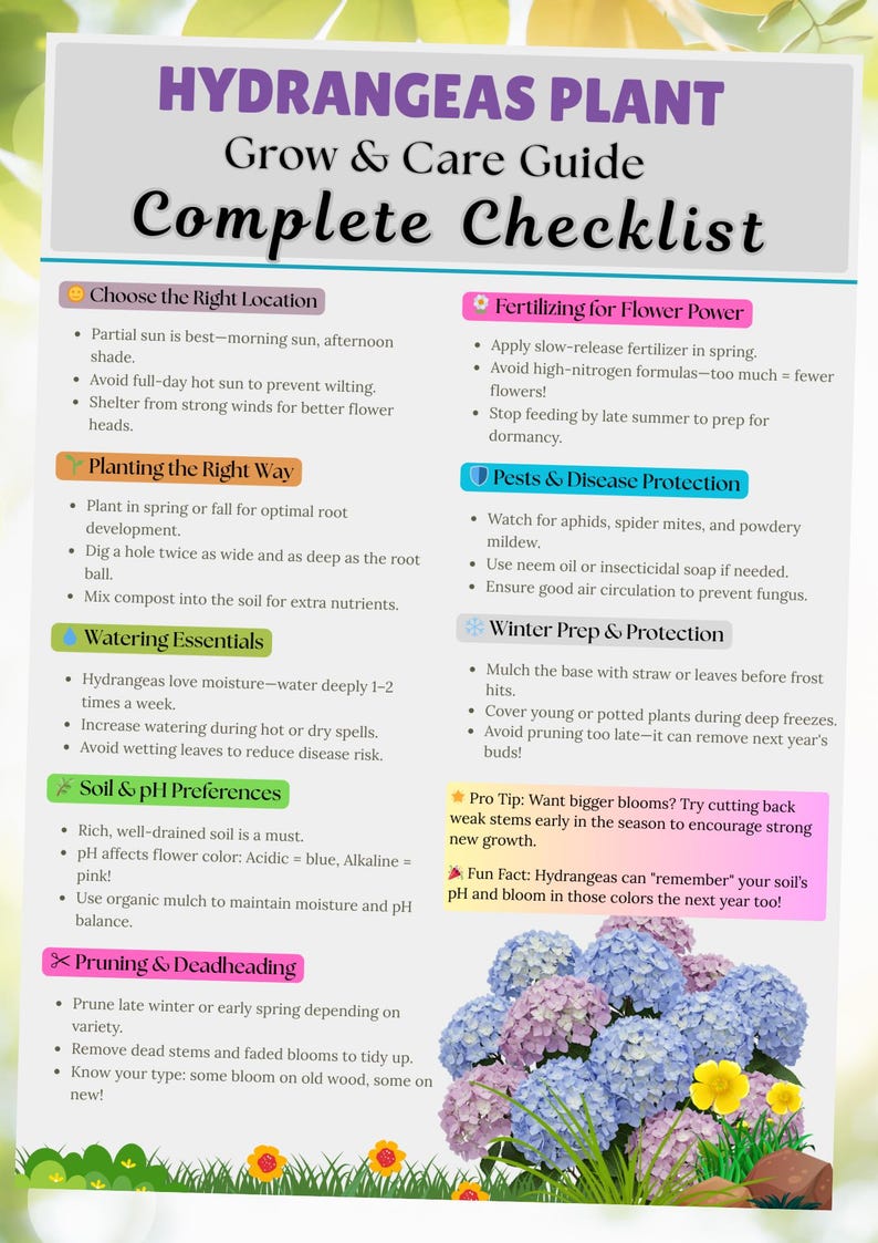 Hydrangeas Plant Care Guide – How to Grow and Care for Hydrangeas ...