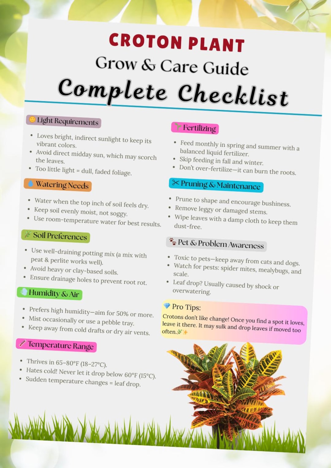 Croton Plant Care Guide – How to Grow and Care for Crotons | Printable ...