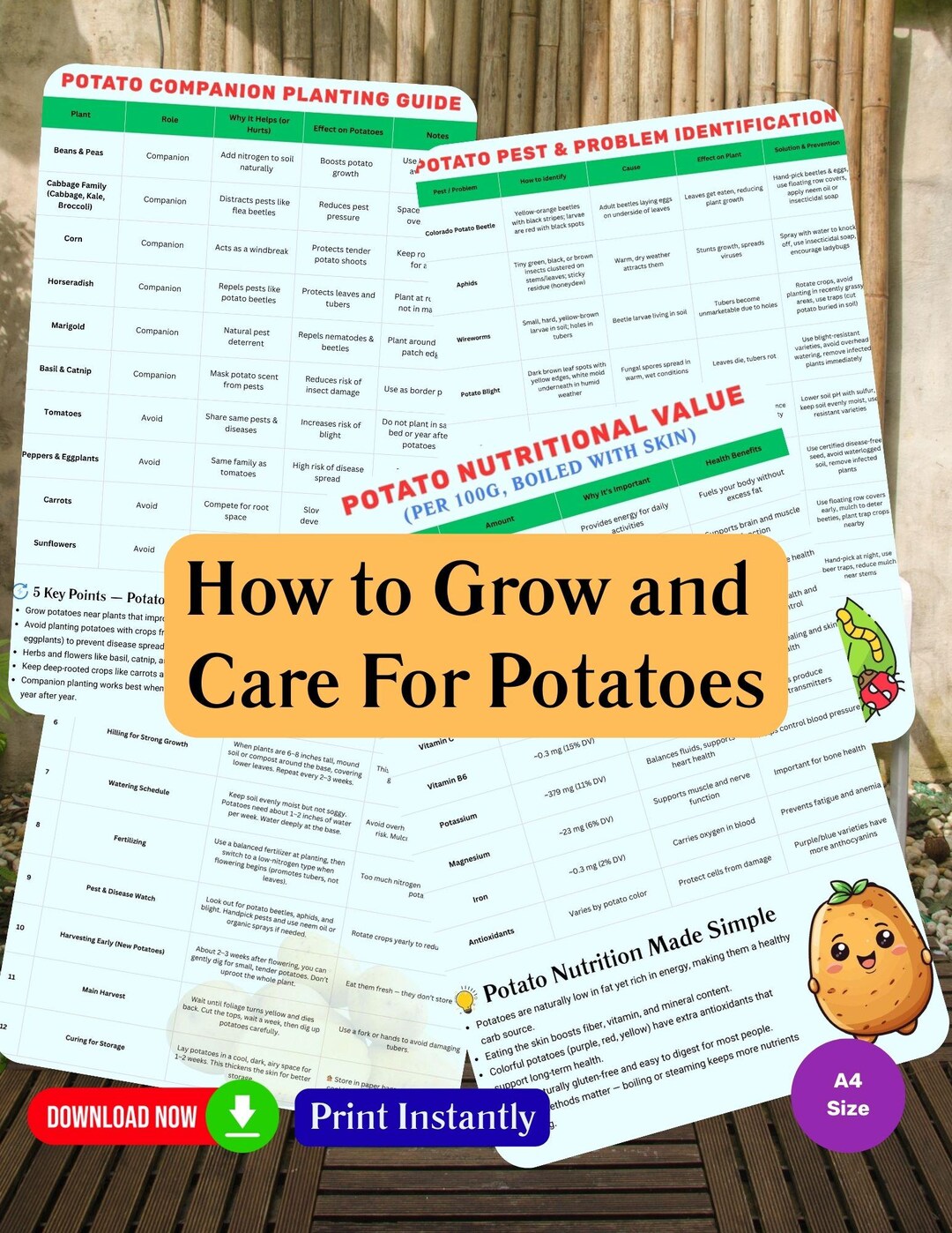 How to Grow and Care Potato Guide Chart Printable | Potato Varieties ...