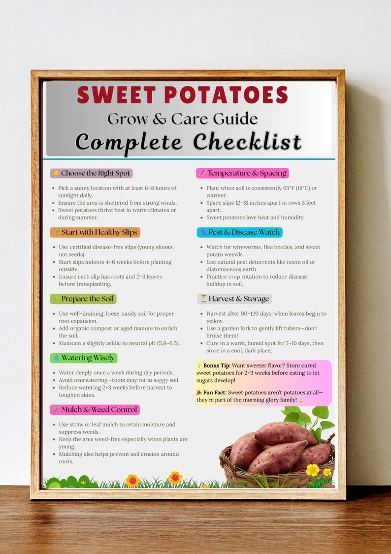 Sweet Potatoes Care Guide – How to Grow and Care for Sweet Potatoes ...