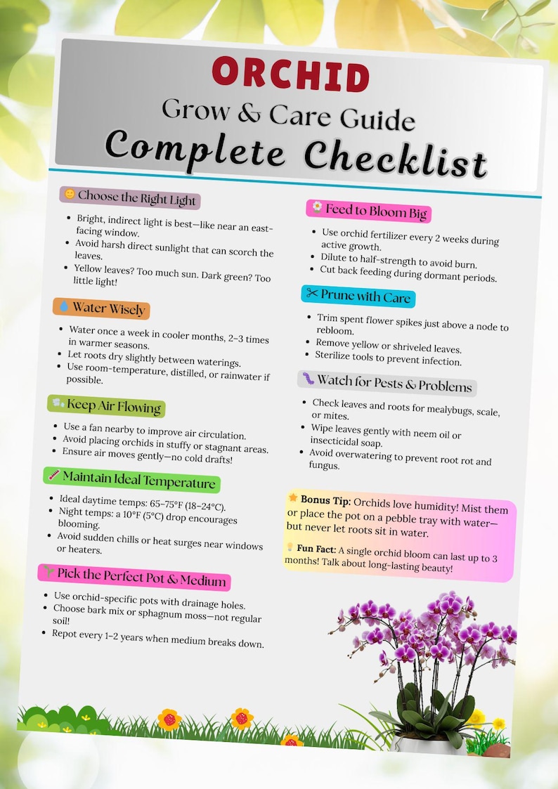 Why Your Orchid Isn’t Blooming – Orchid Care Guide PDF Printable ...