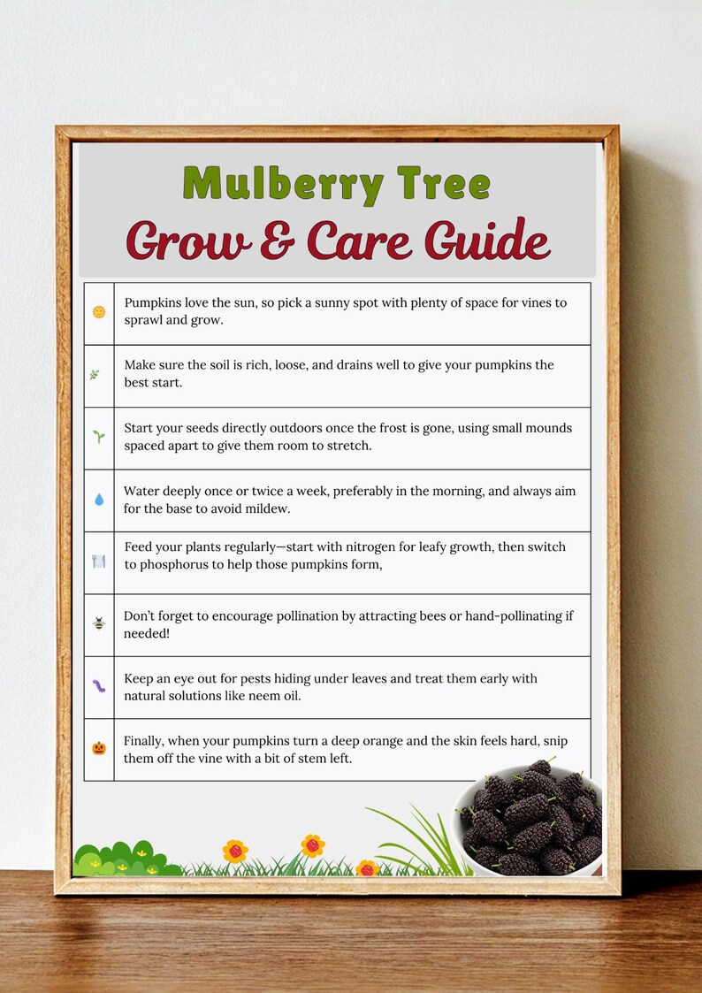 Mulberry Tree Care Guide – How to Grow and Care for Mulberry Trees ...