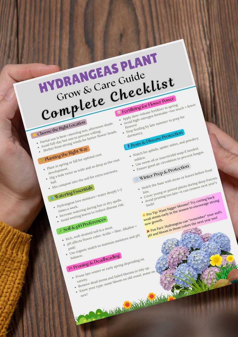 Hydrangeas Plant Care Guide – How to Grow and Care for Hydrangeas ...