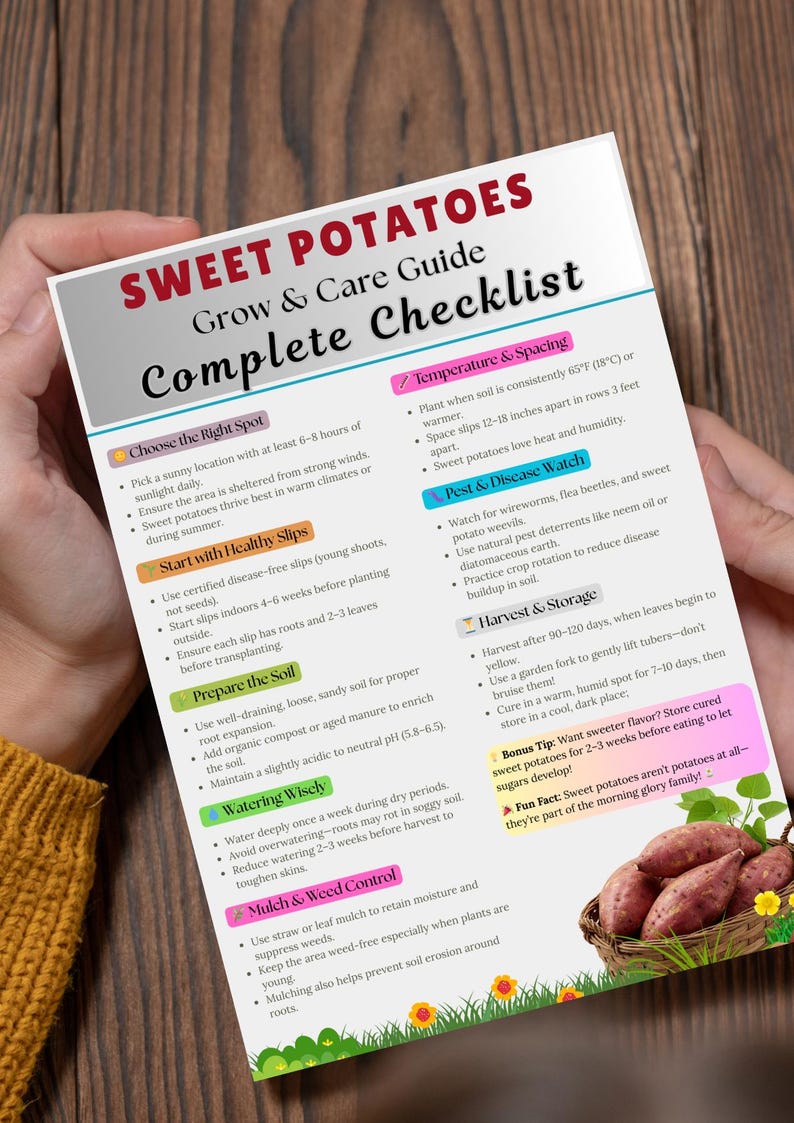 Sweet Potatoes Care Guide – How to Grow and Care for Sweet Potatoes ...