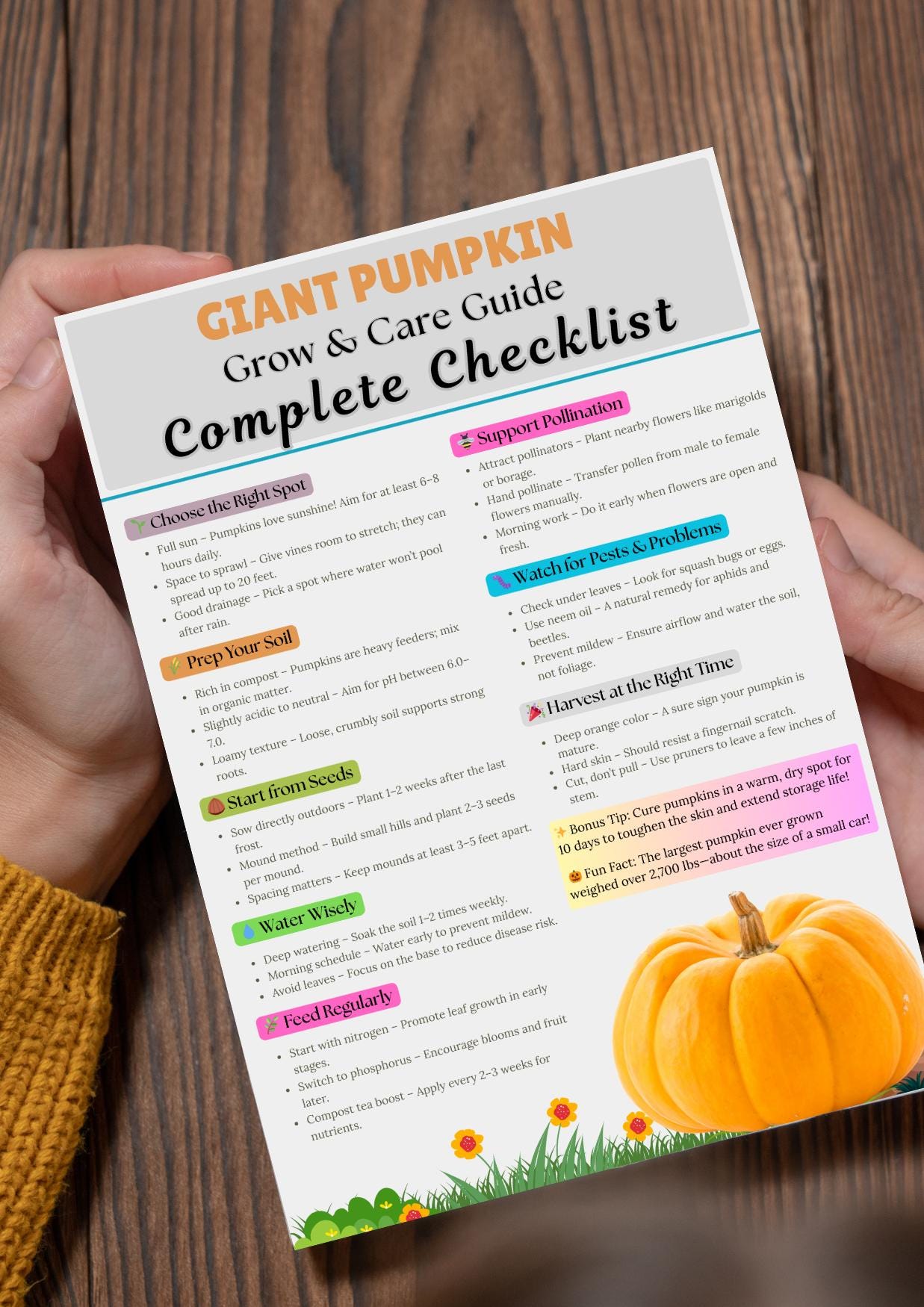 Giant Pumpkin Care Guide – How to Grow and Care for Giant Pumpkin ...