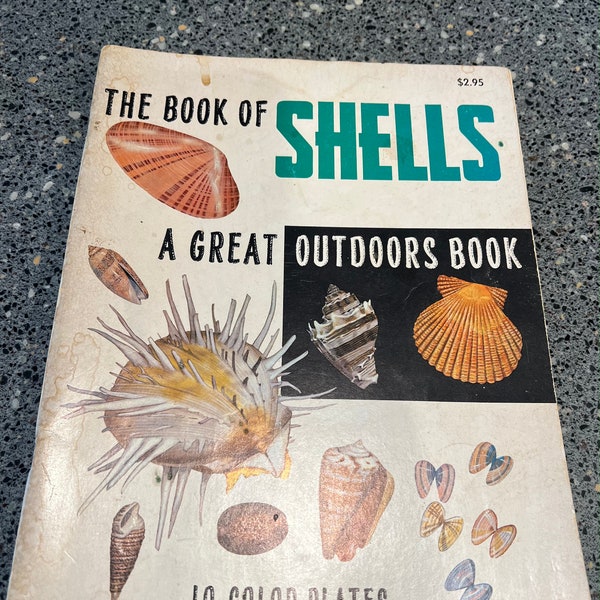 Sea Shells Books - Etsy
