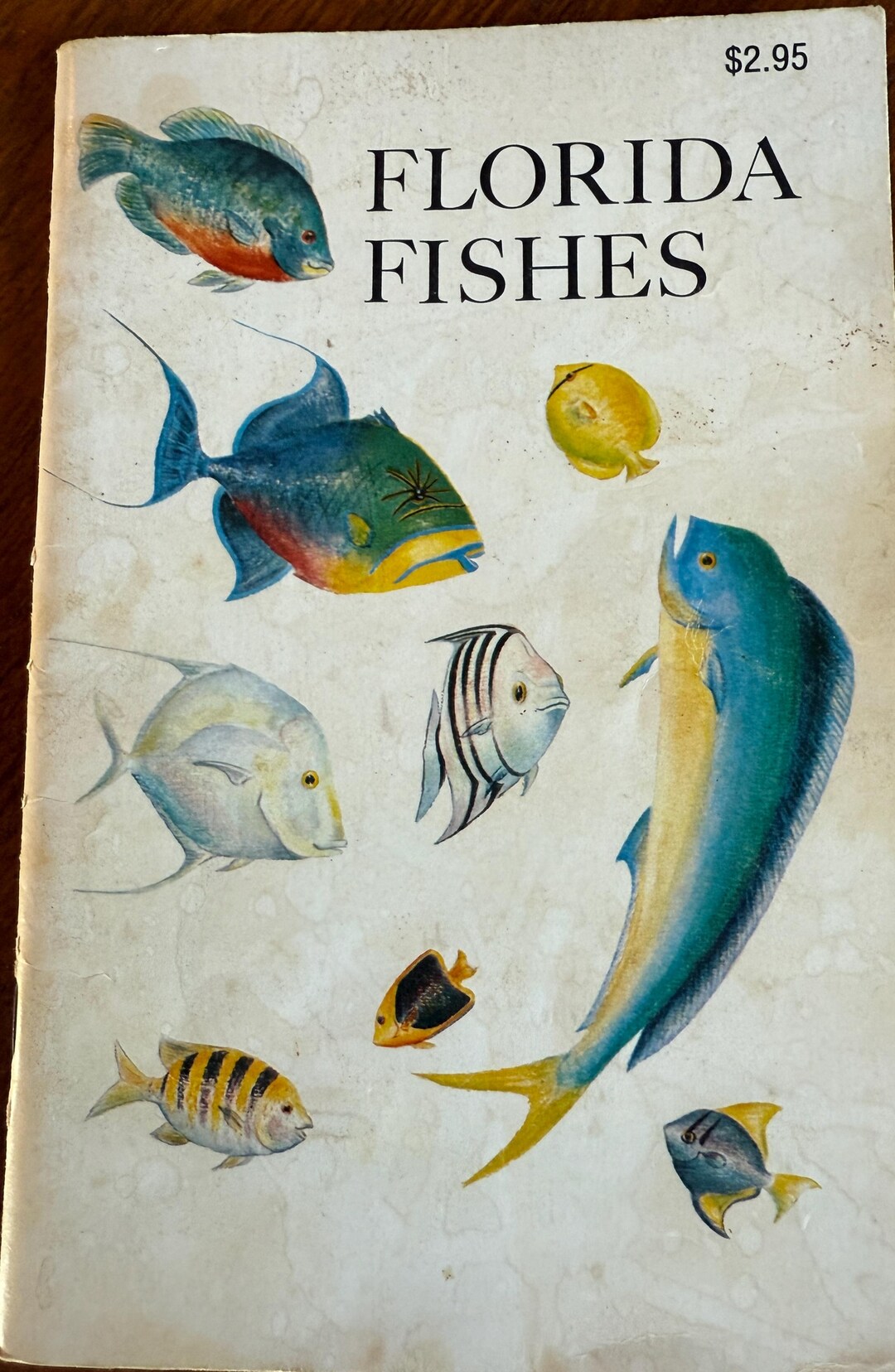 1982 Florida Fishes Pamphlet Vintage Loaded With Info 78 Pages - Etsy