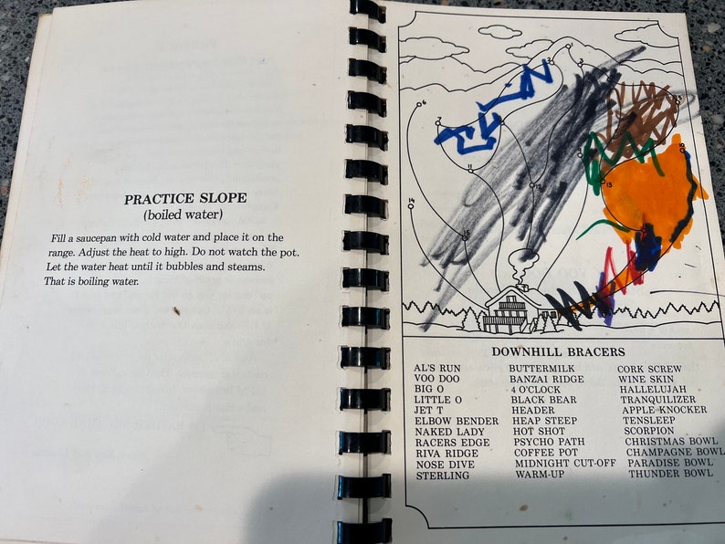 1977 Vintage Spiral Bound Vintage Ski Resort Cookbook so Fun - Etsy