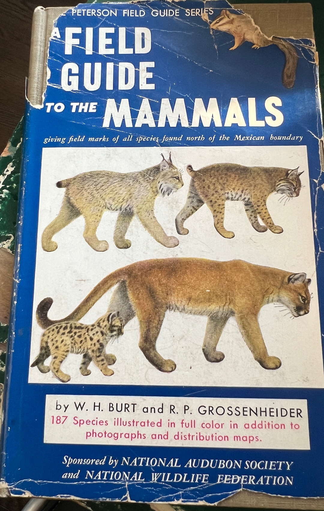 1952 A Peterson Field Guide Series A Field Guide to the Mammals 200 ...