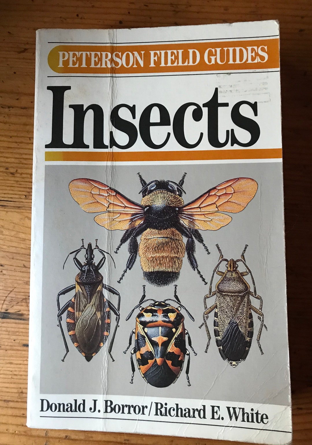 1970 Peterson Field Guides Insects by Donald J Borror and Richard E ...