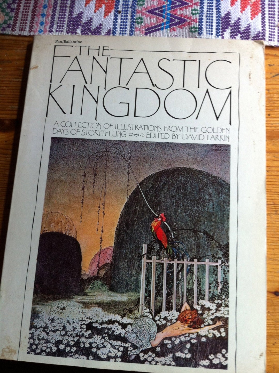 1974 David Larkin Book Beautiful Paperback the Fantastic Kingdom ...