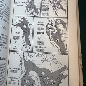 1952 A Peterson Field Guide Series A Field Guide to the Mammals 200 ...