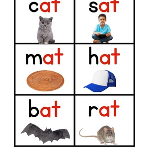 CVC Phonics Cards - Etsy