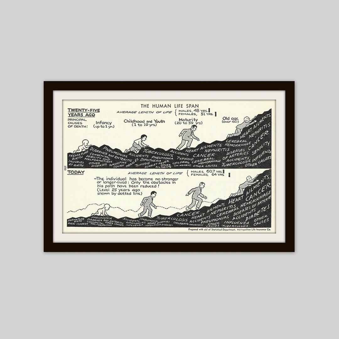 The Human Life Span, 1939 Illustration, Average Length of Life ...