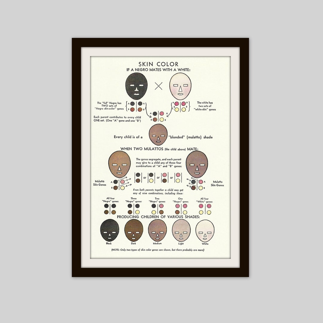 1939 Skin Color Print, Original Print, Color Book Plate, Heredity and ...