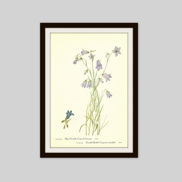 Botanical Book Plate - Etsy