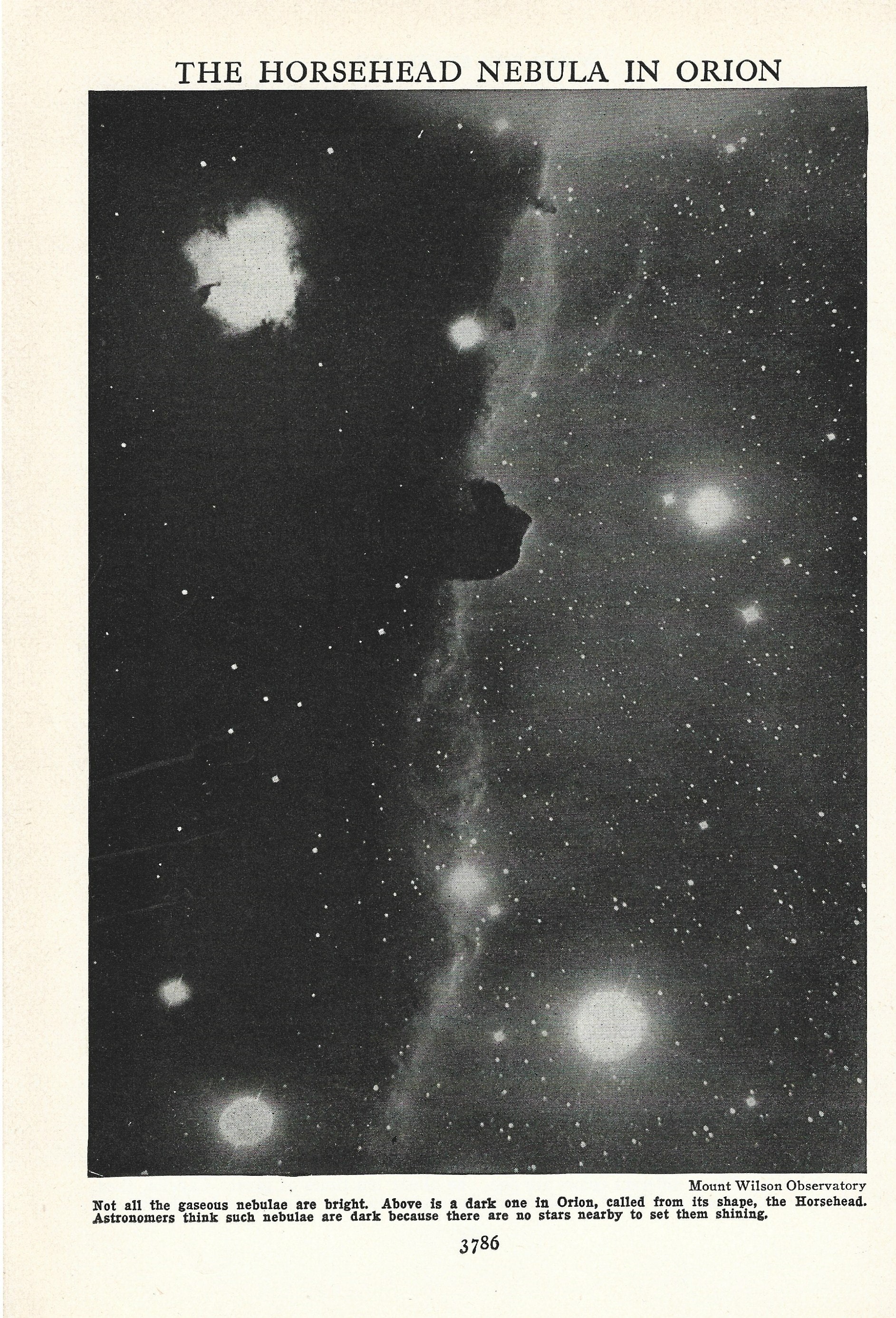 Horsehead Nebula Jesus