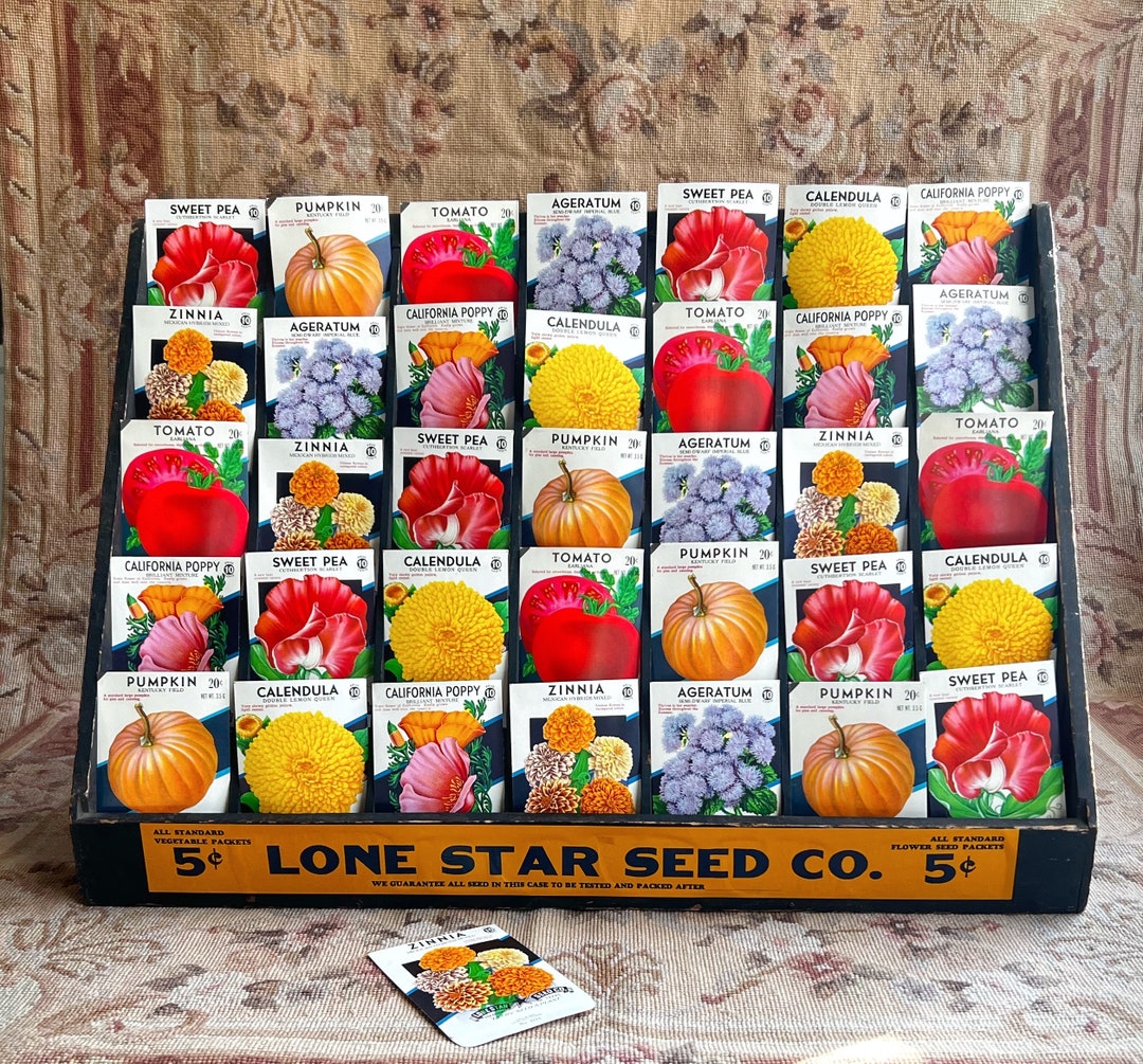 Antique Seed Display Rack Box Colorful Packets Lone Star Seed Co. San ...