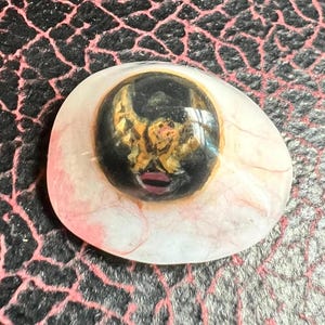Prosthetic Eye Ocular Prosthesis Vintage Fake Unusual Eyeball With Owl ...