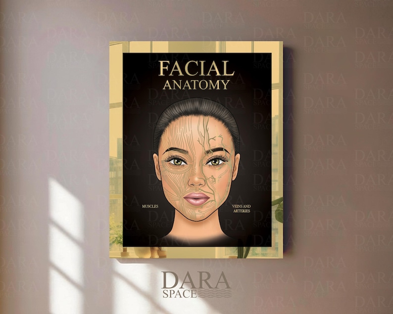 Facial Anatomy Sign, Beauty Salon Med Spa Decor, Plastic - Etsy