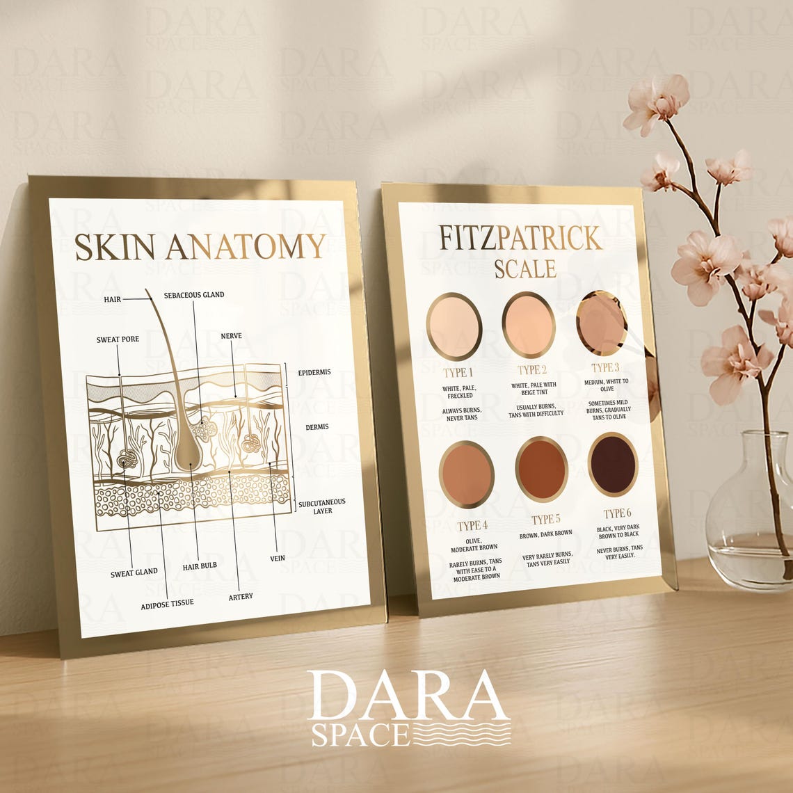 Skin Anatomy and Fitzpatrick Scale – Set of 2 Gold Mirror Plastic Signs ...