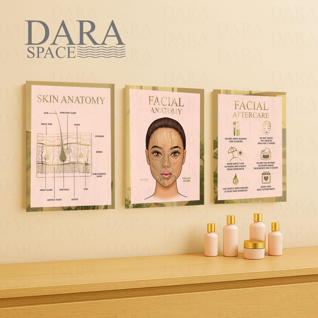 Beauty Salon Decor, Facial Anatomy, Skin Diagram, Medspa Signs - Etsy