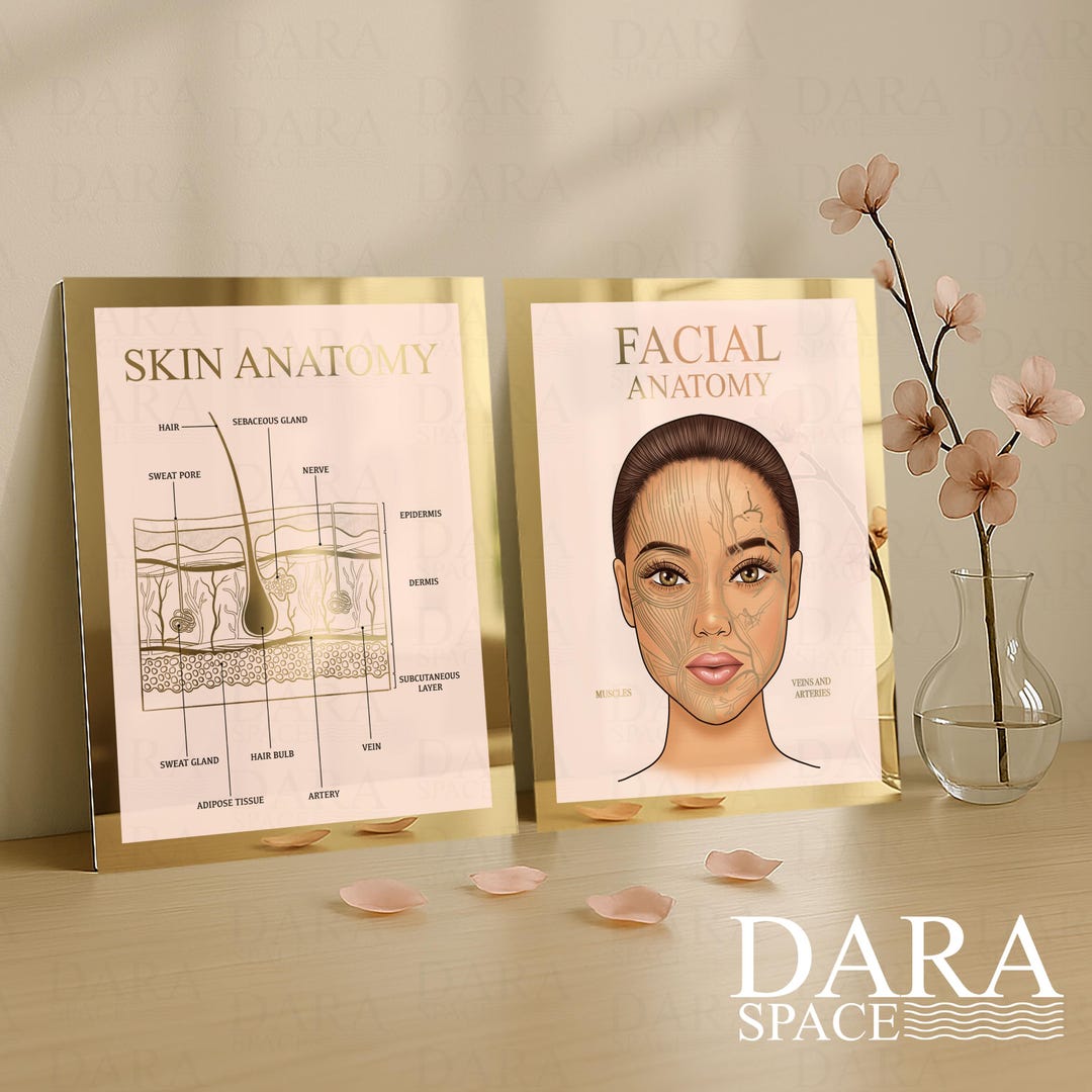 Face Diagram Sign, Skin Diagram Sign, Beauty Salon Decor, Beauty Clinic ...