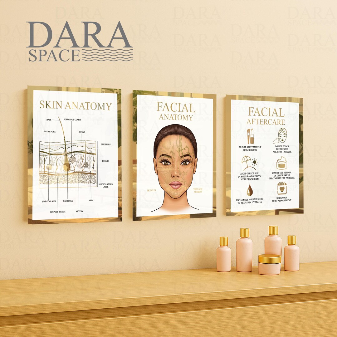 Beauty Clinic Signs, Facial & Skin Anatomy, Medspa Decor, Set of 3 - Etsy