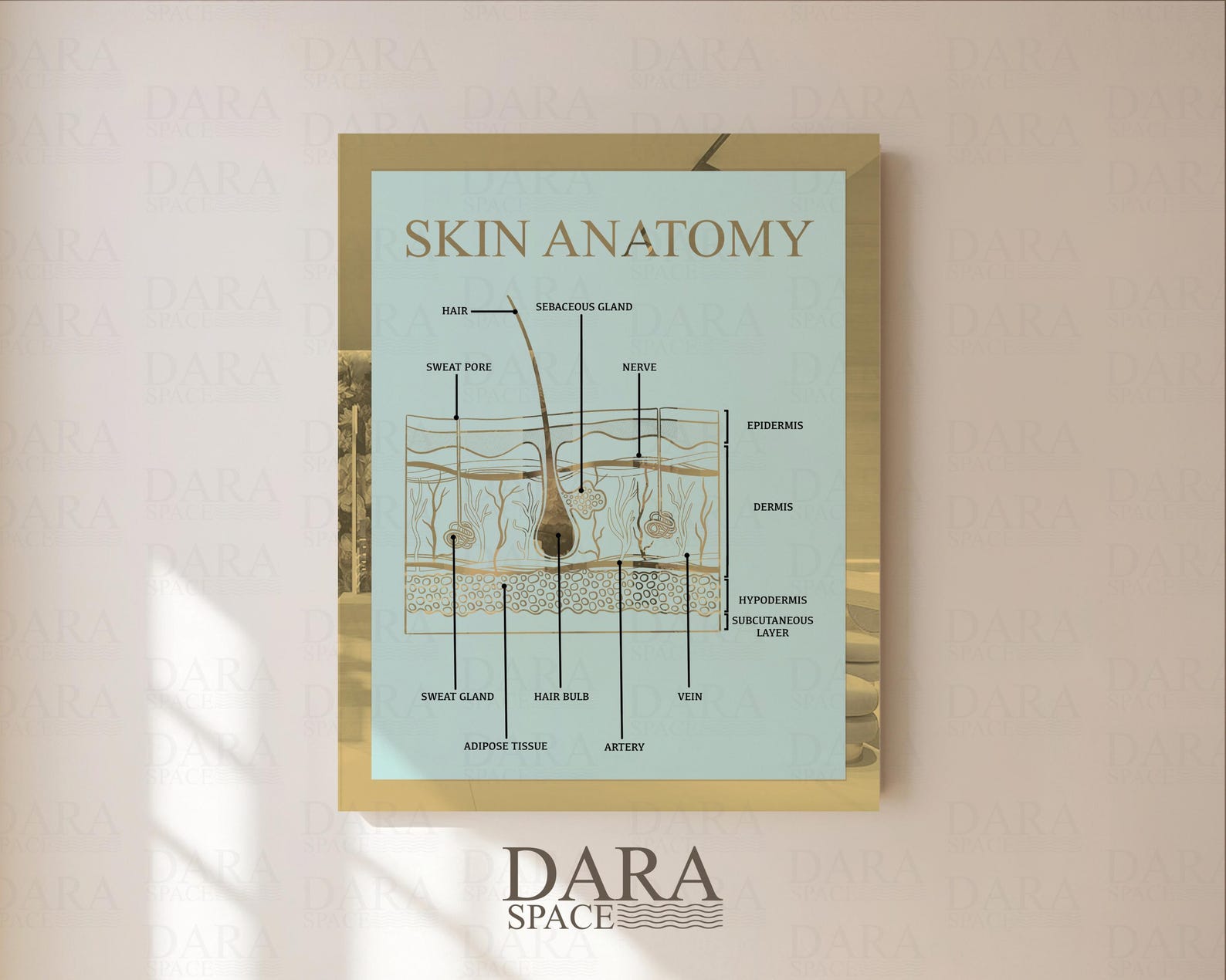 Skin Anatomy Decor, Beauty Salon Sign, Beauty Clinic Decor, Gold Signs ...