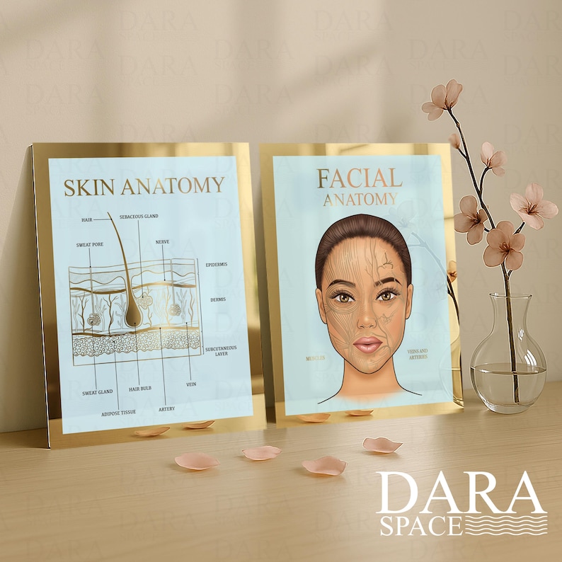 Facial Anatomy Sign, Skin Diagram, Beauty Salon Decor, Set of 2 - Etsy