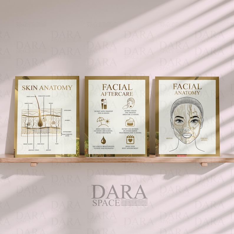 Facial Aftercare, Skin Anatomy, Facial Anatomy, Beauty Salon Sign, Med ...