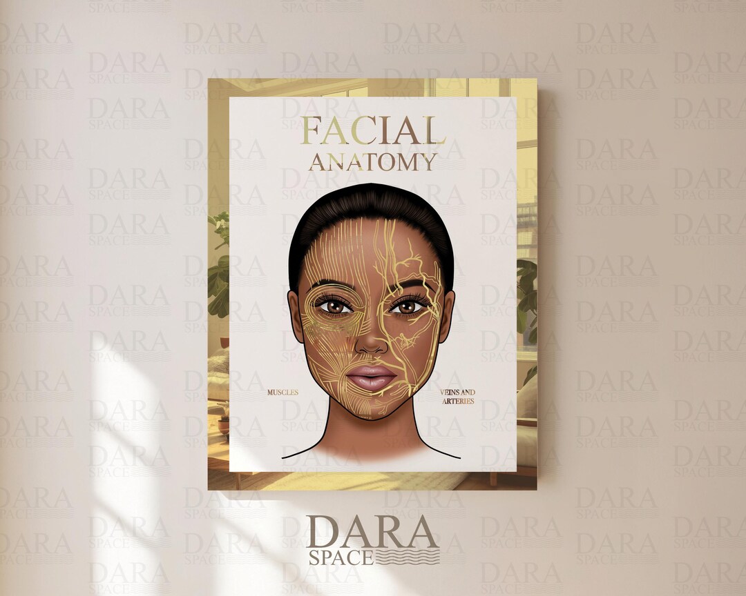 Face Anatomy Diagram, Beauty Clinic Decor, Beauty Businees Decor ...