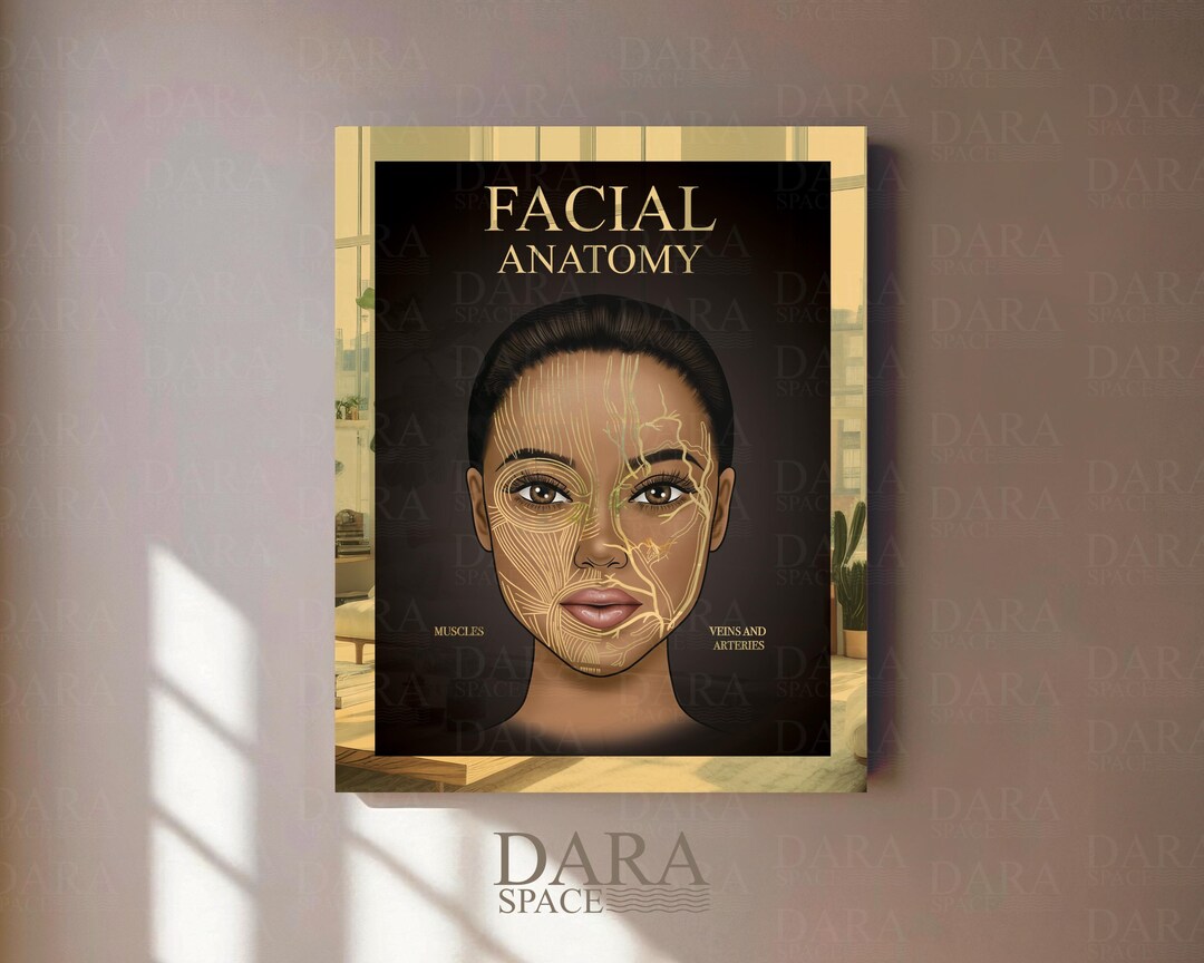 Facial Anatomy Sign, Beauty Salon Decor, Face Anatomy Diagram, Med Spa ...