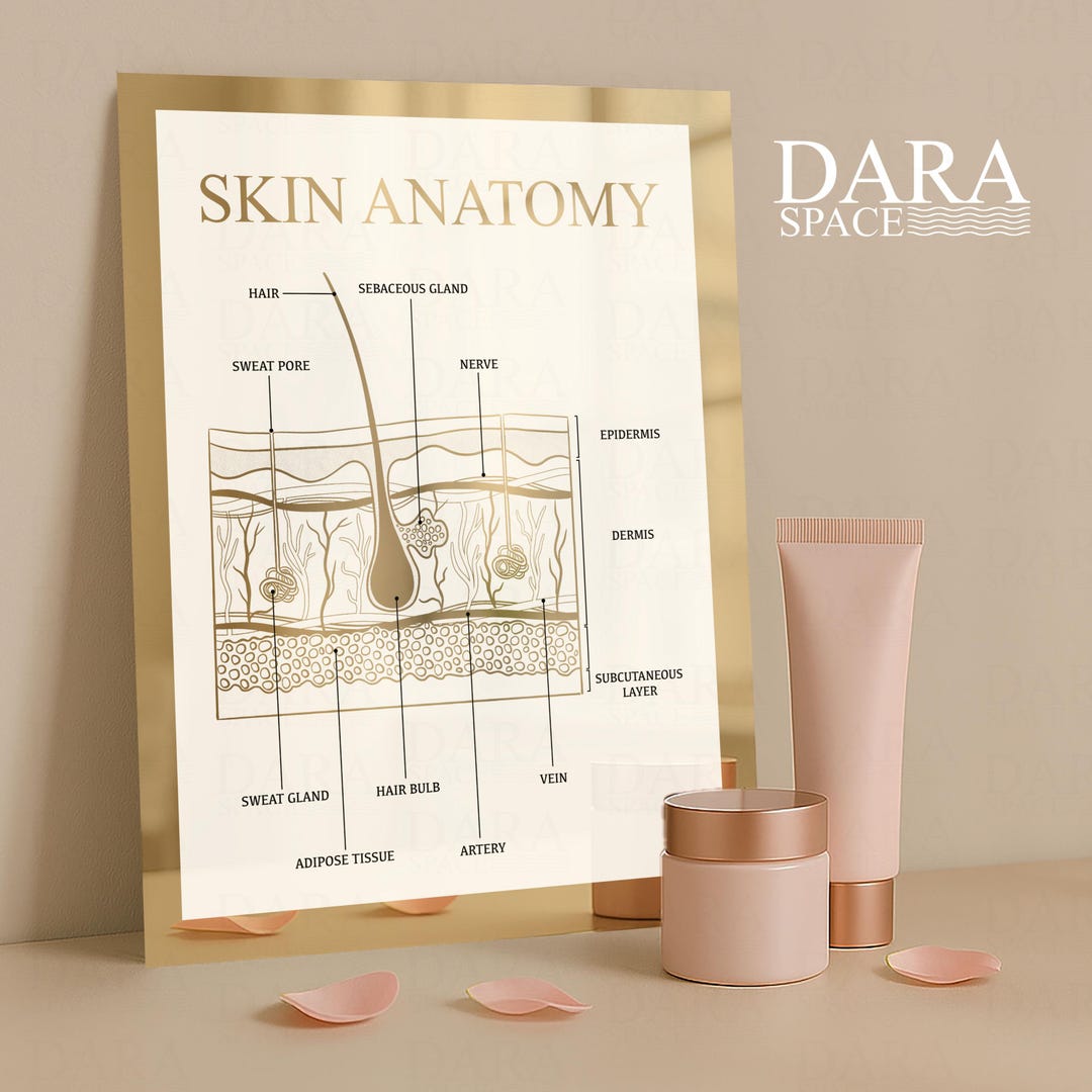 Skin Anatomy Decor, Beauty Salon Sign, Beauty Clinic Decor, Gold Signs ...