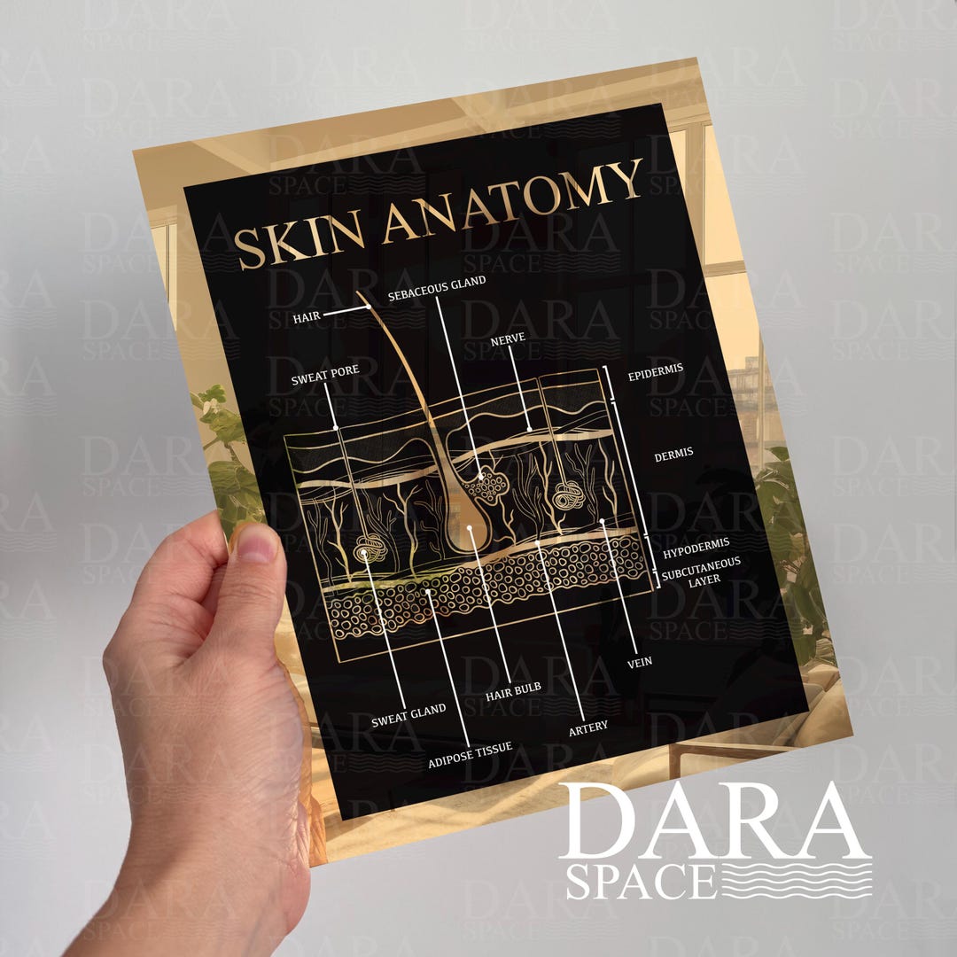 Skin Anatomy Decor, Beauty Clinic Sign, Beauty Salon Decor, Skin ...