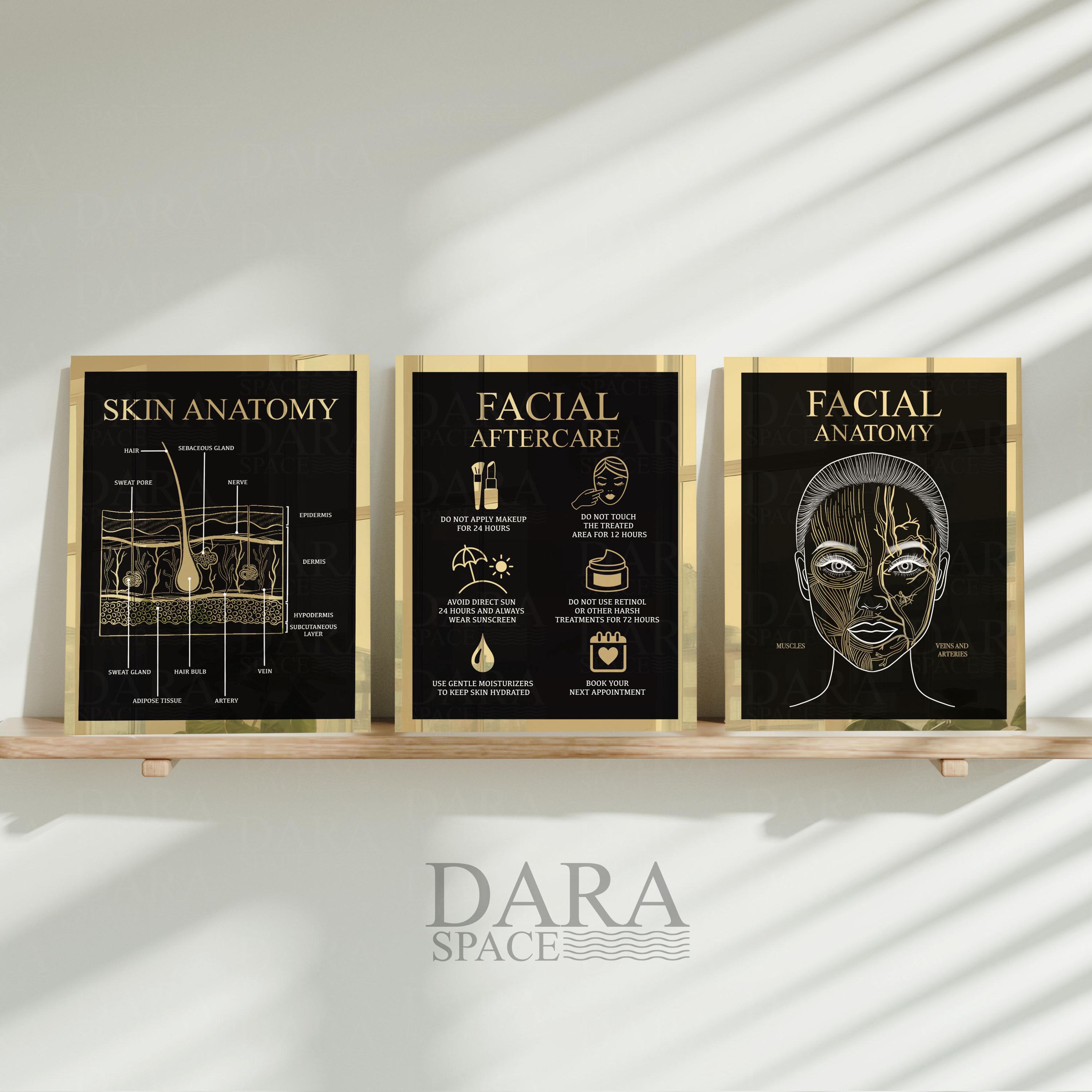 Facial Aftercare, Skin Anatomy, Facial Anatomy, Beauty Salon Sign, Med ...