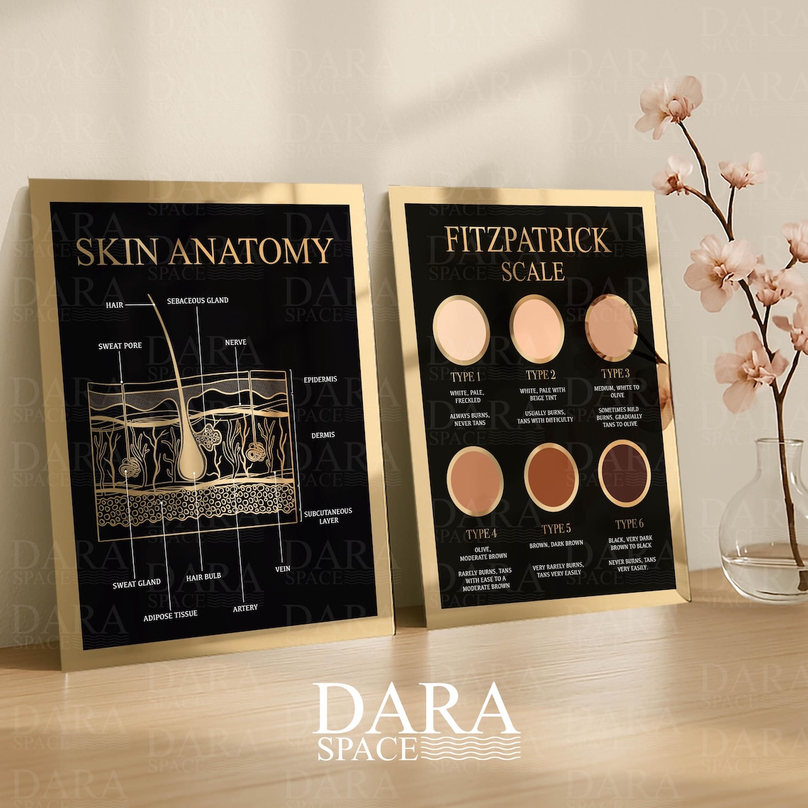 Skin Layers and Fitzpatrick Scale Charts – Gold Mirror Set | Aesthetic ...