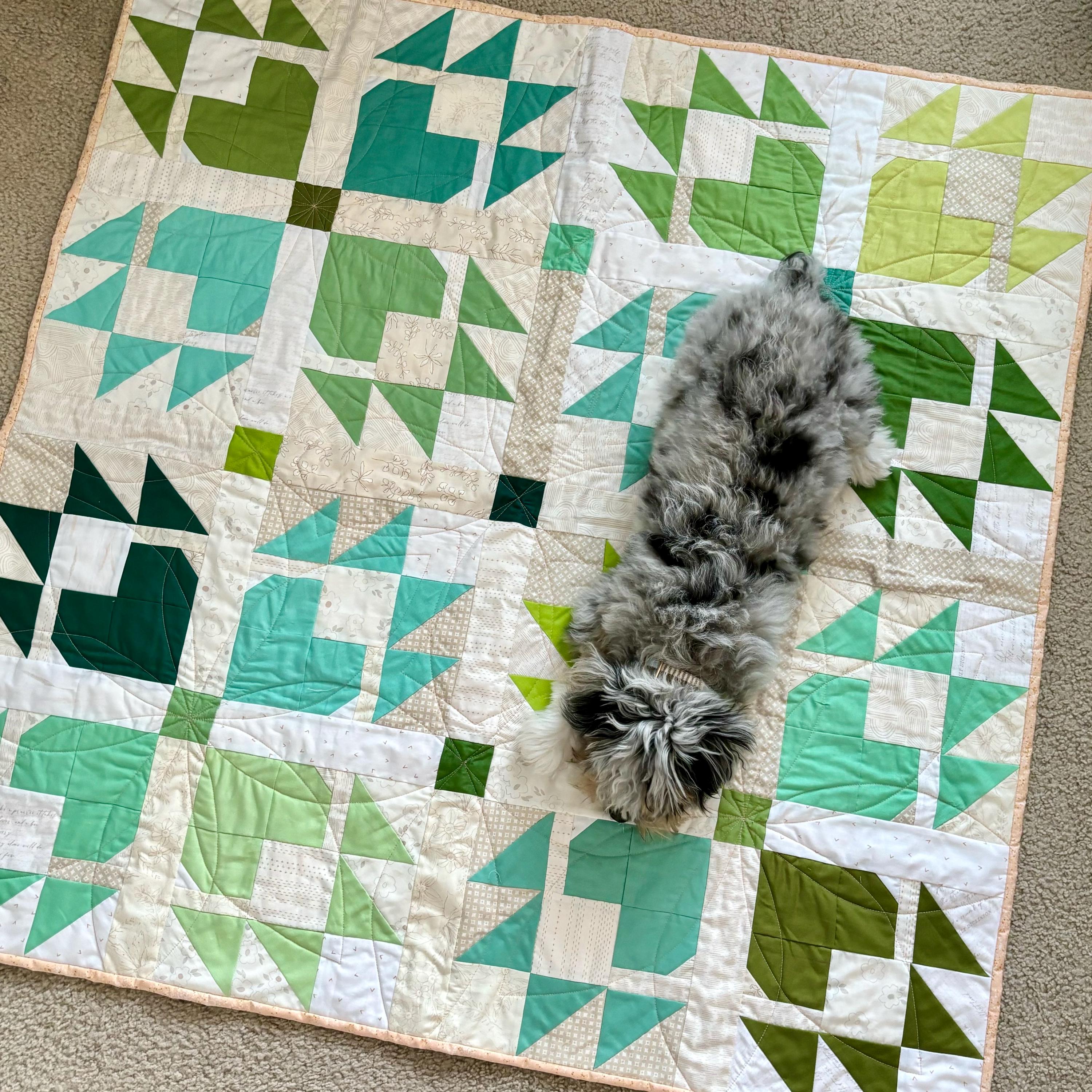 Pawsome Love Quilt Pattern - Etsy