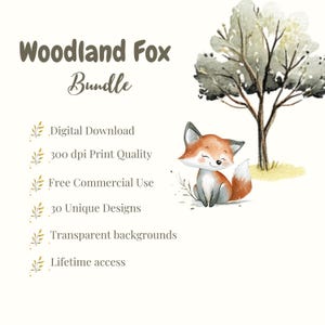 40 Cute Woodland Fox Clipart Bundle, Watercolor Woodland Animals, PNG ...