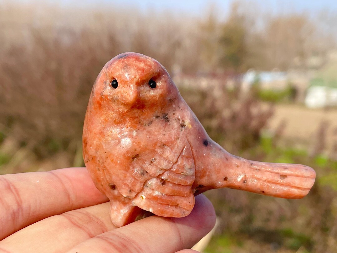 Sesame Stone Bird Skull Carving: Natural Quartz Crystal Skull , Home ...