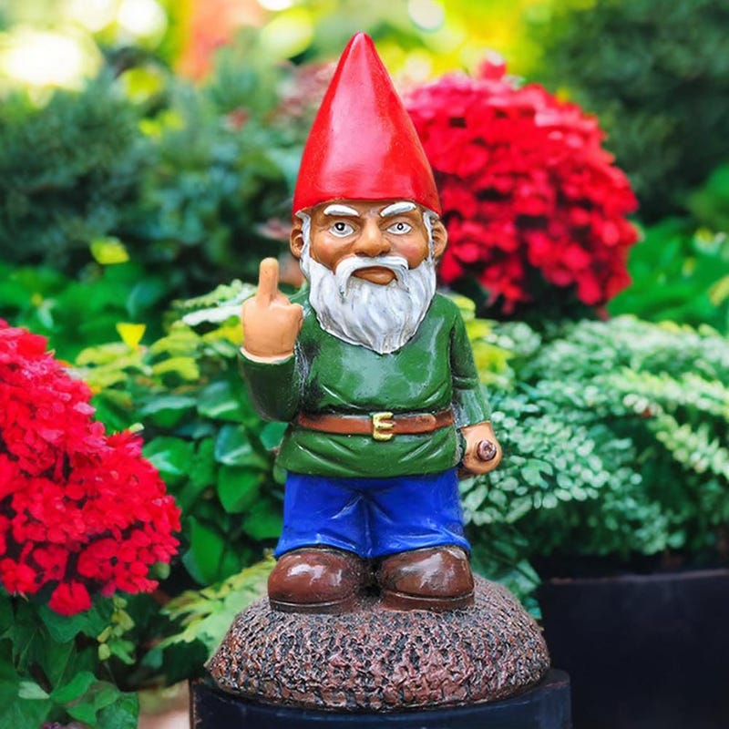 Rude Garden Gnome - Etsy